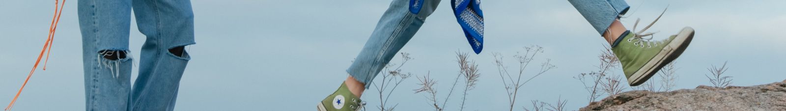 Donut Model - Stichting Free to Roam